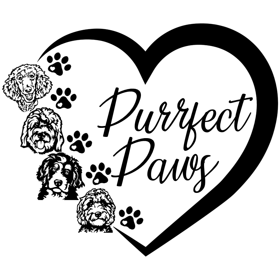 Purrfect Paws – Providing "Purrfectly" Wonderful Furry Companions For ...